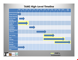 Project Management High Level Timeline Plan Execute And Validate