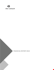 Company Financial Statement Analysis Example