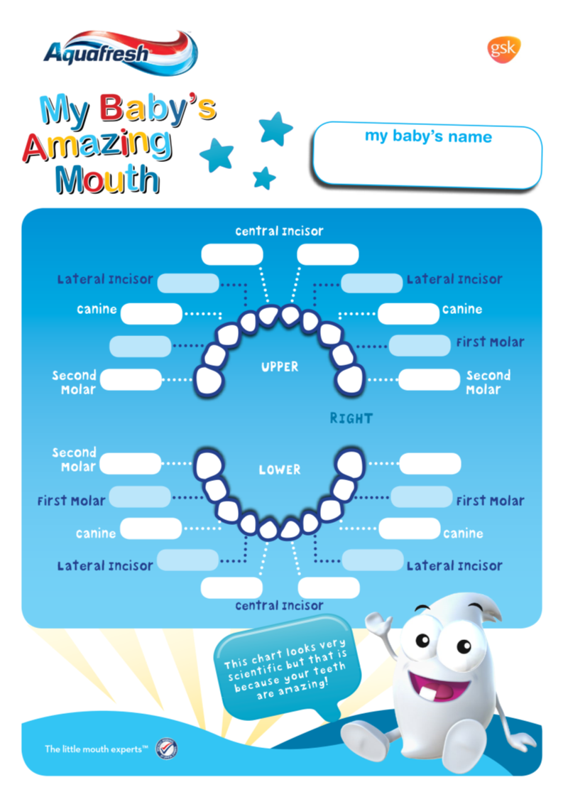 Download a Free Printable Baby Teeth Chart - Keep Track of Your Child's ...