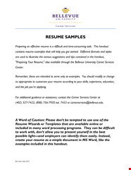 Professional Business Resume Sample Systems Bellevue Omaha