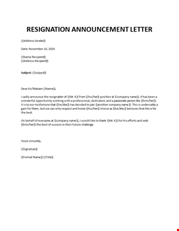 Resignation Letter To Team
