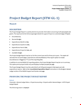 Project Budget Report