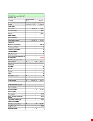 Projected Balance Sheet Format