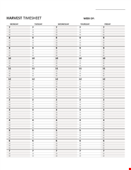 Daily Project Timeline Template Easily Manage Monday Timesheet And