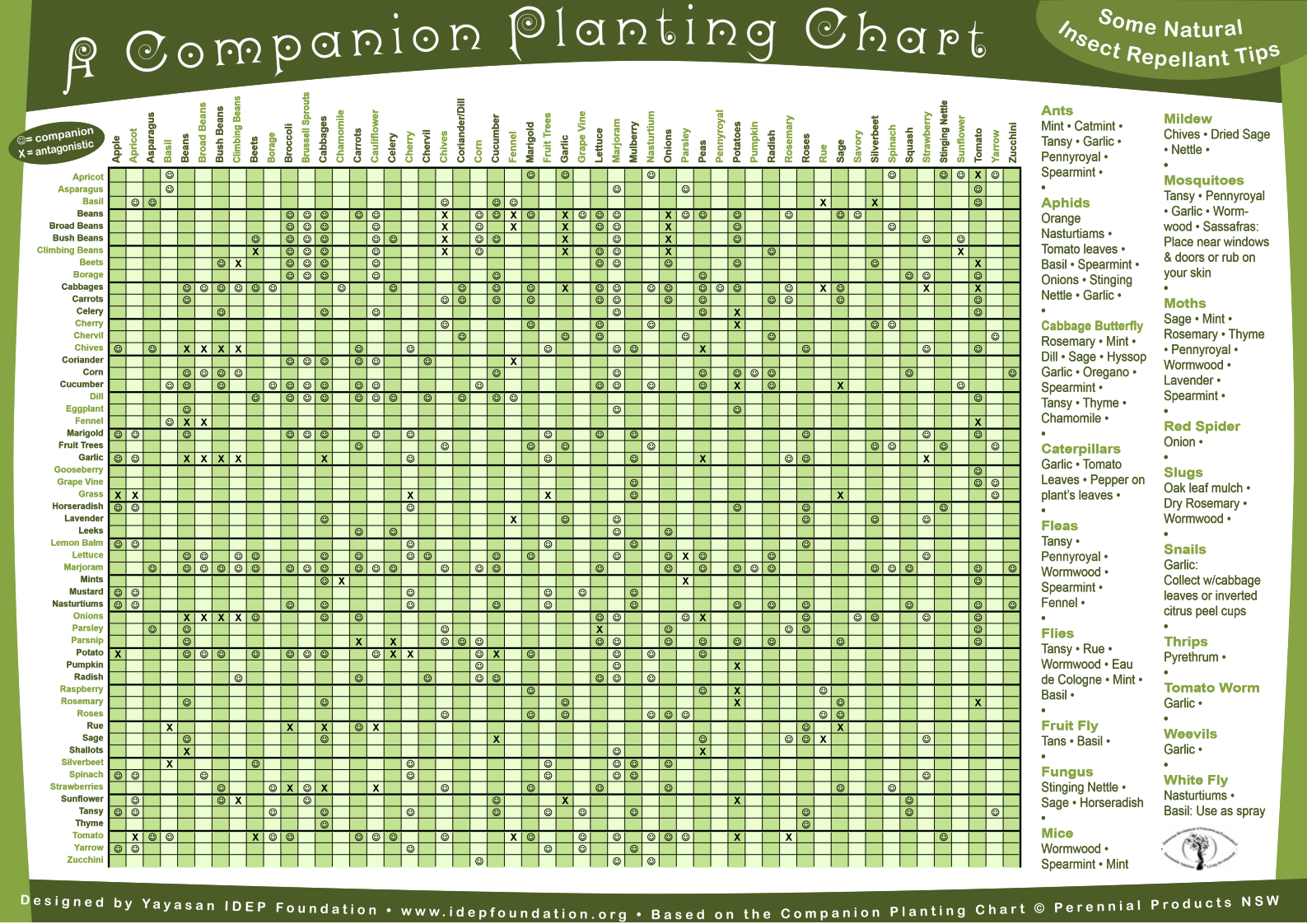 Printable Companion Planting Chart